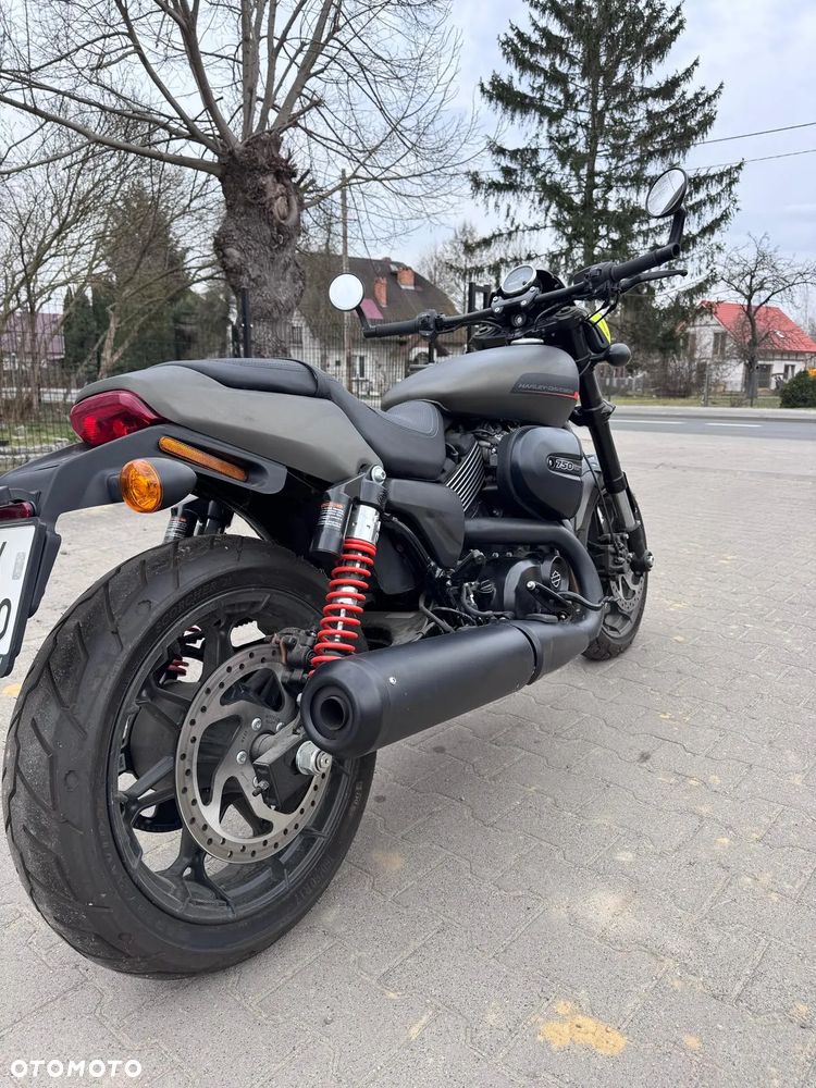 Używany Harley-Davidson Street Rod XG 750A 2020 - 41 900 PLN - Otomoto.pl