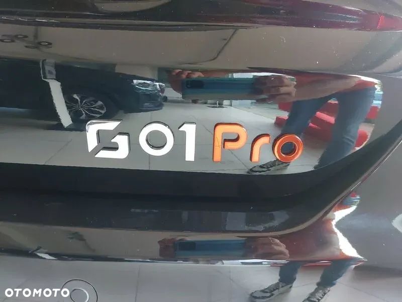 Nowy SWM G01F 2025 - 114 900 PLN, 10 km - Otomoto.pl