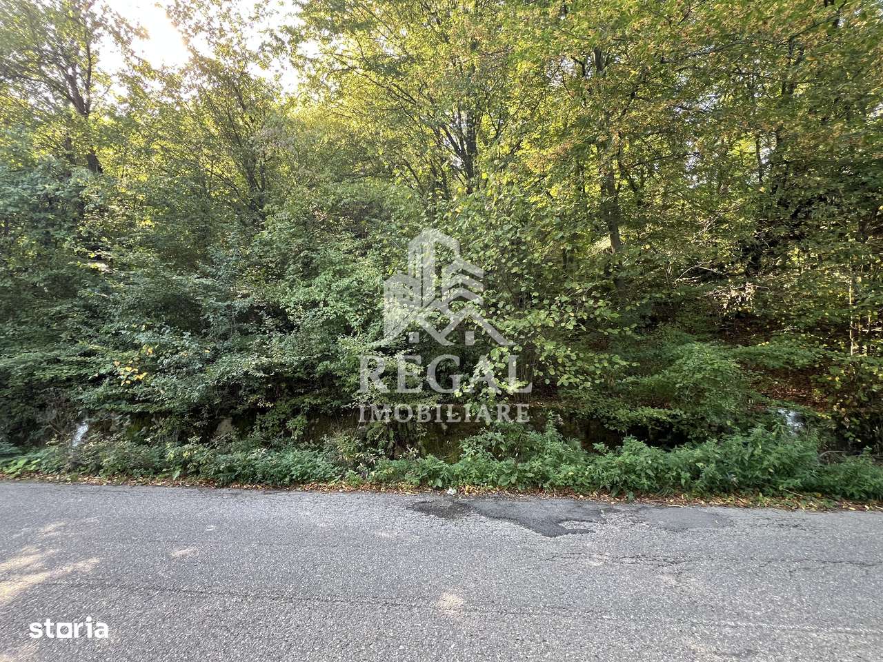 730 m², teren de vanzare - Hunedoara (judet), Bulbucani - 9728237 • www ...