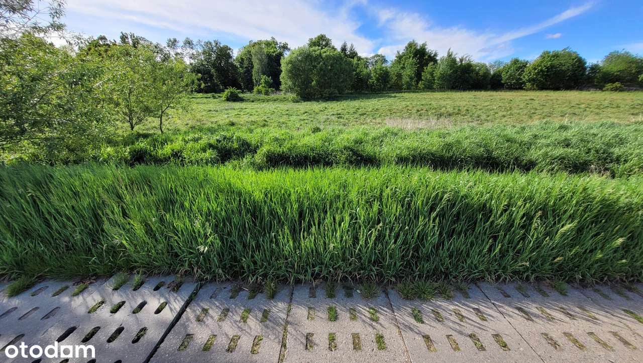 5 339 m², działka na sprzedaż - Godzimierz, szczecinecki ...