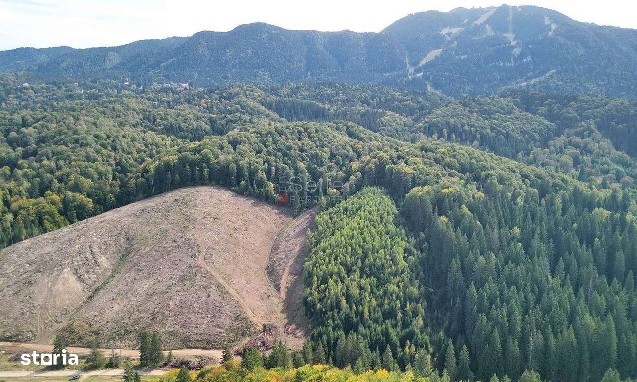 14 000 m², teren de vanzare - Brasov (judet), Strada Valea Lunga ...