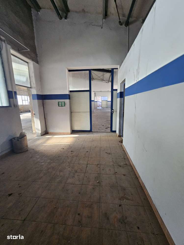 1 000 m², depozit / hala de inchiriat - Cluj (judet), Turda - 9667035 ...