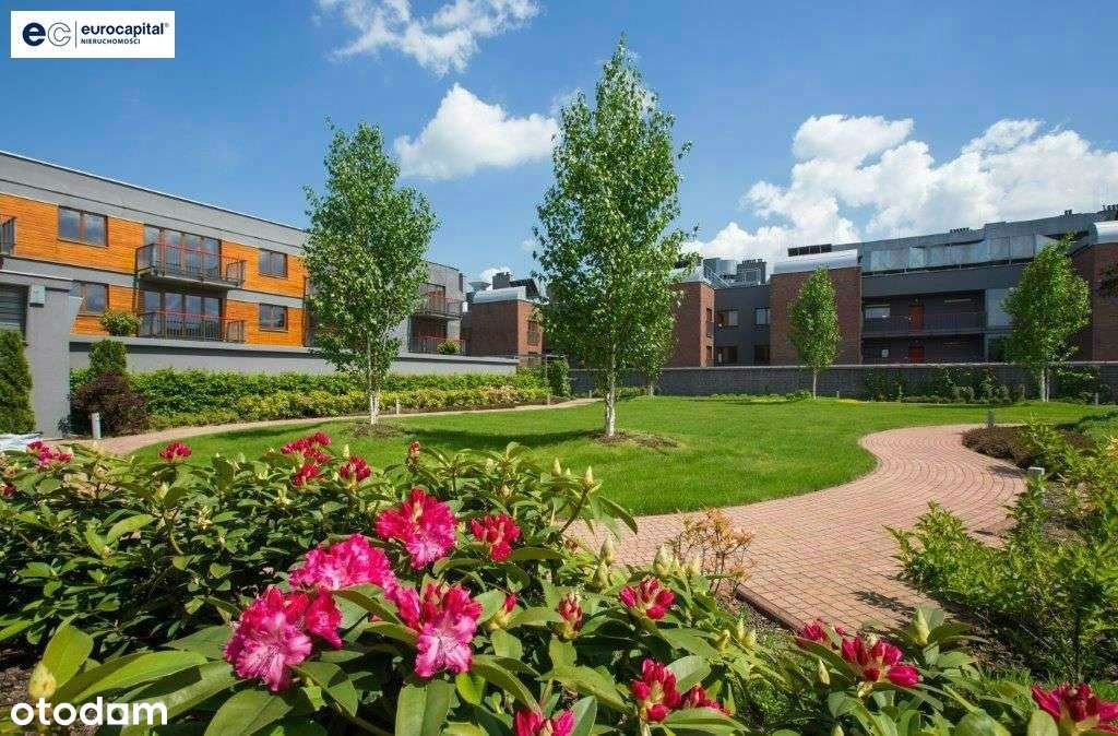 2 pokoje, mieszkanie na wynajem - Bielsko-Biała, Centrum - 67595390 ...