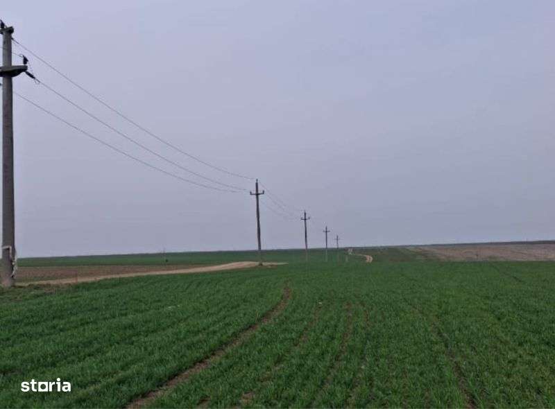600 000 m², teren de vanzare - Olt (judet), Draghiceni - 9458880 • www ...