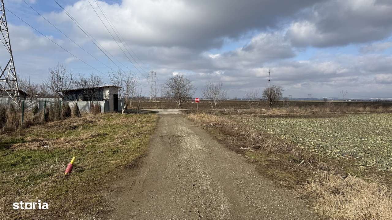650 m², teren de vanzare - Bacau (judet), Letea Veche - 10130395 • www ...