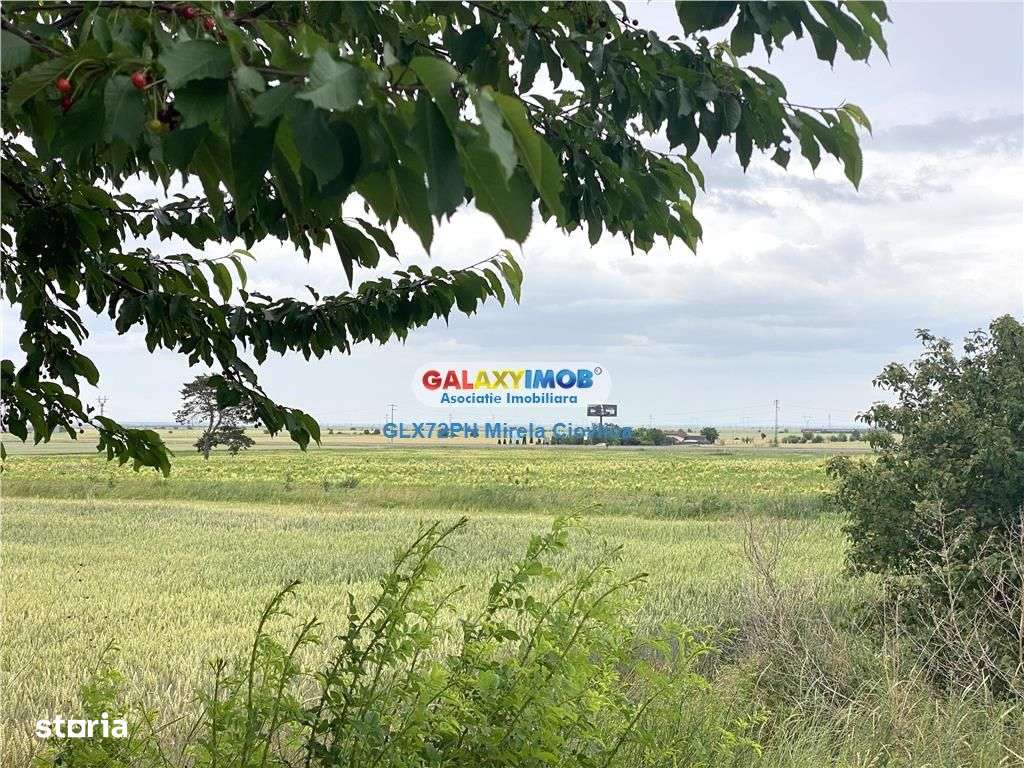 7 501 m², teren de vanzare - Prahova (judet), Strada 9 Mai - 9324111 ...