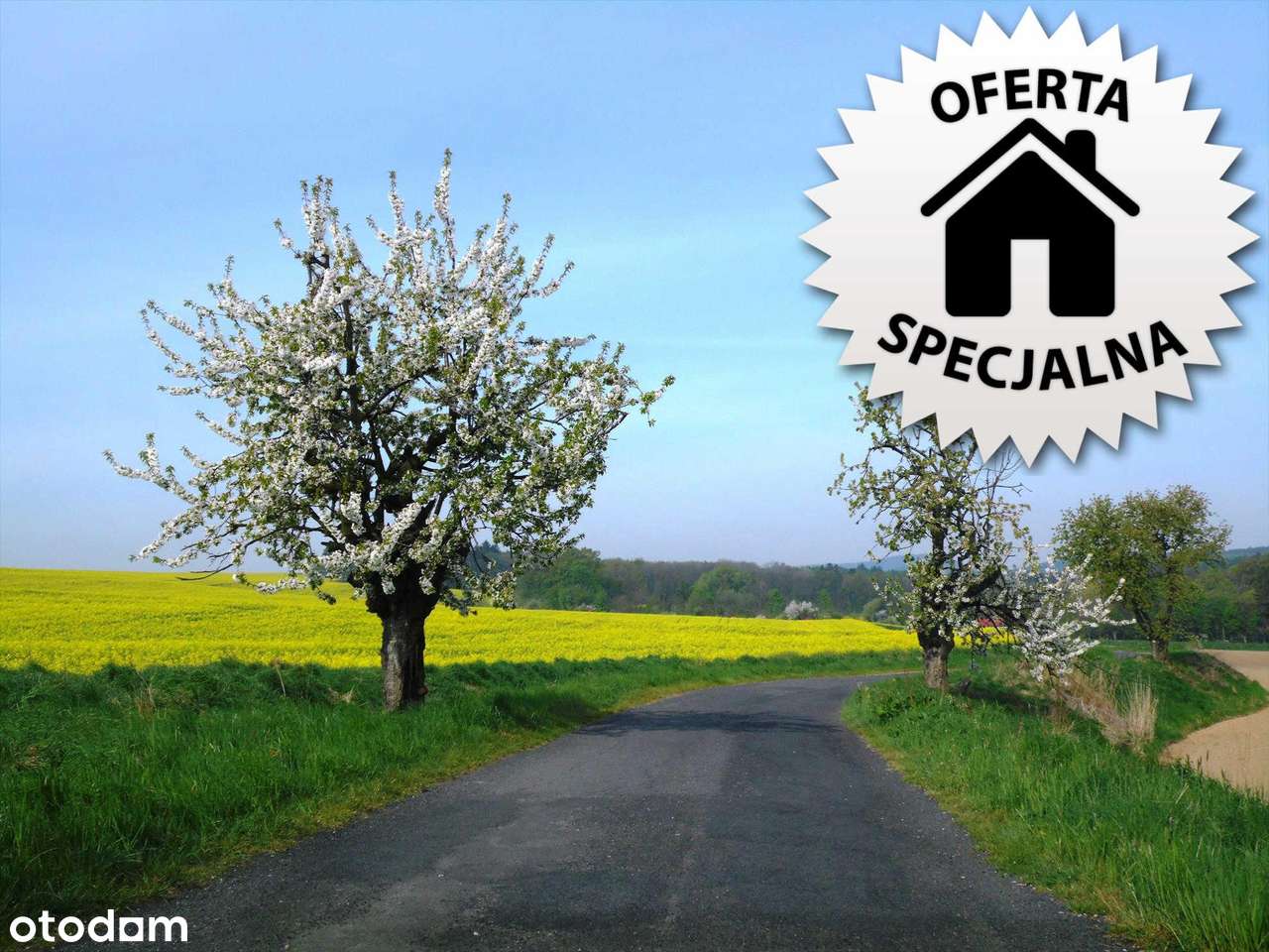 1 793 m², działka na sprzedaż - ul. Zagaje, Wrocław - 67595402 • www ...