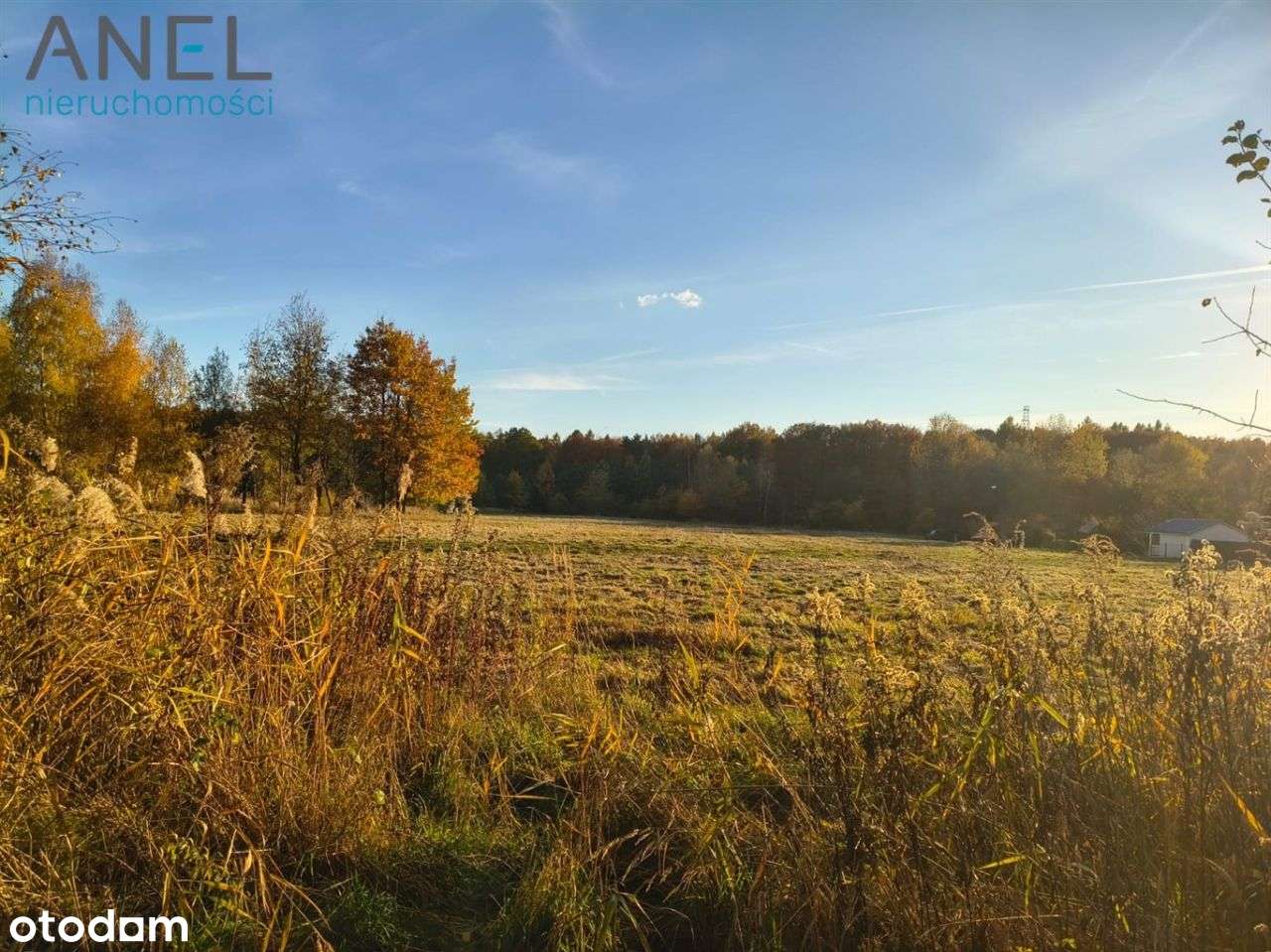 16 357 m², działka na sprzedaż - Ruda Śląska, Halemba - 67609406 • www ...