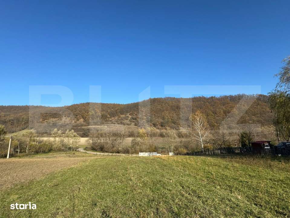 2 700 m², teren de vanzare - Hunedoara (judet), Cozia - 9990055 • www ...