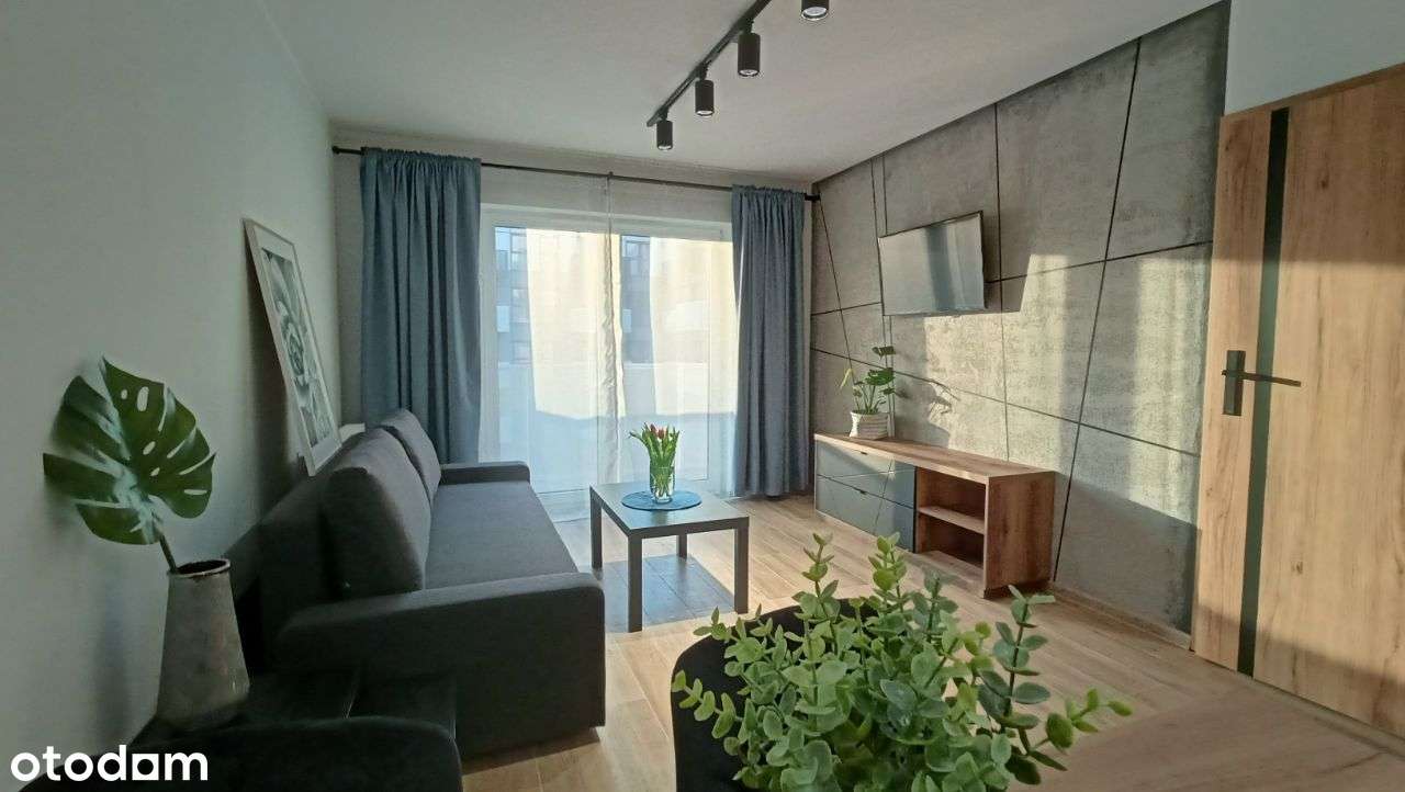 2 pokoje, mieszkanie na wynajem - Sosnowiec, Sielec - 64008806 • www ...