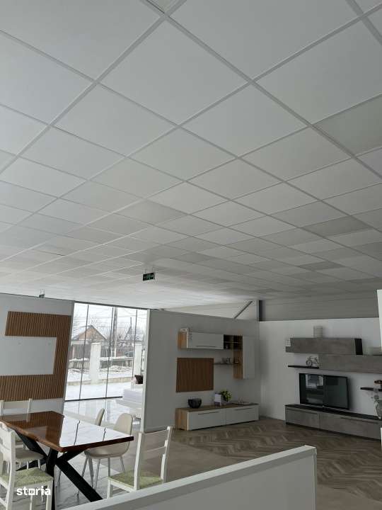 460 m², spatiu comercial de vanzare - Dolj (judet), Galicea Mare ...