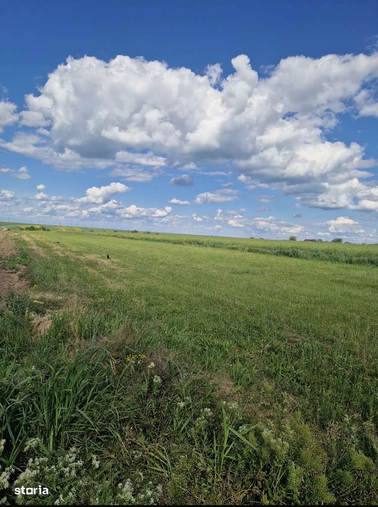 15 000 m², teren de vanzare - Dolj (judet), Ghercesti - 9455544 • www ...