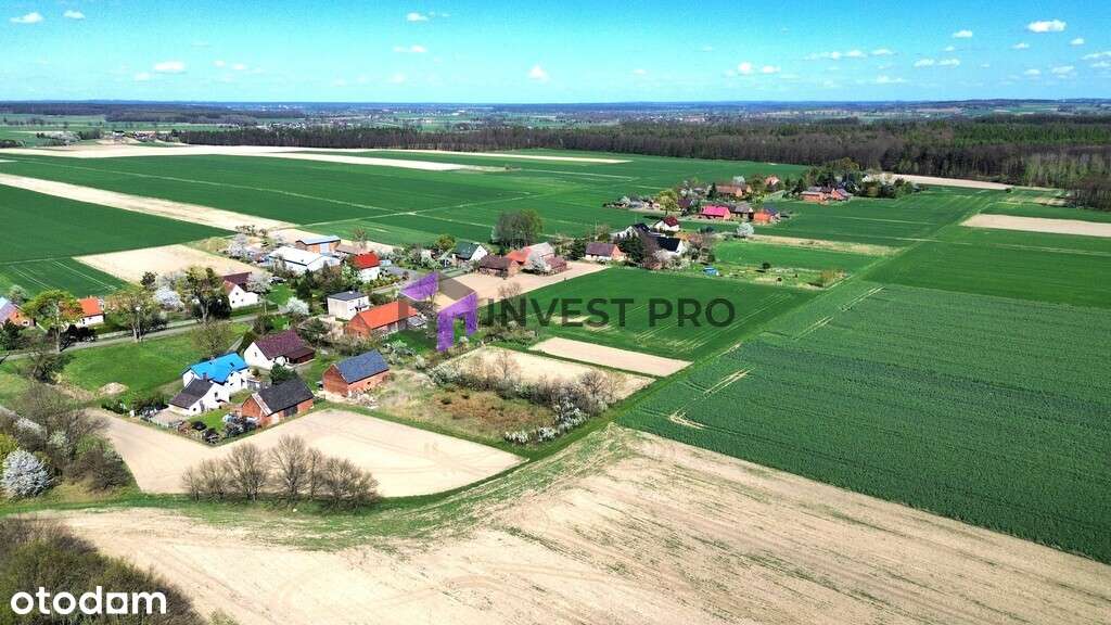 6 700 m², działka na sprzedaż - Biadacz, kluczborski, opolskie ...