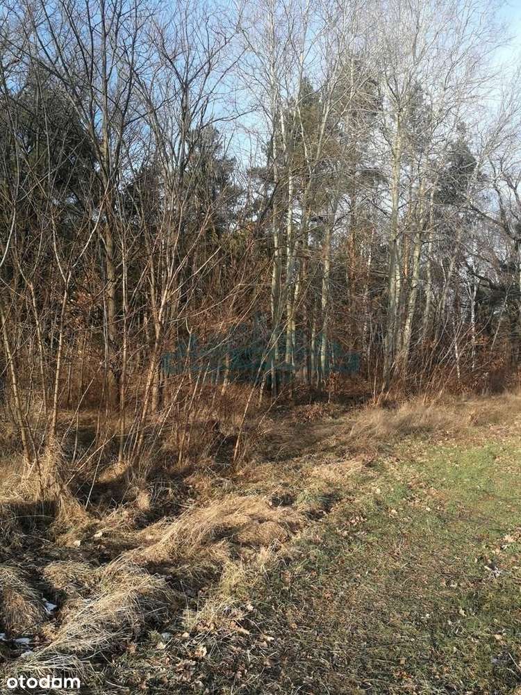 24 000 m², działka na sprzedaż - Czosnów, nowodworski, mazowieckie ...