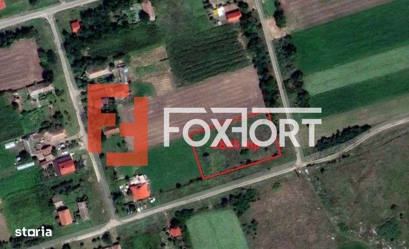 2 835 m², teren de vanzare - Timis (judet), Foeni - 8172361 • www.storia.ro