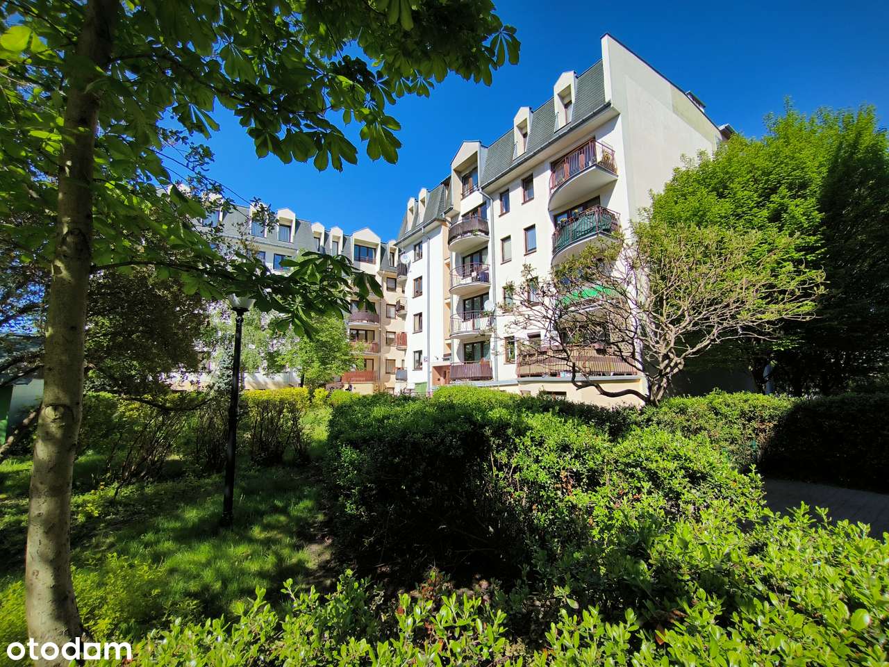 Mieszkania na sprzedaż - rynek wtórny: Piaseczno, Piaseczno | Otodom.pl