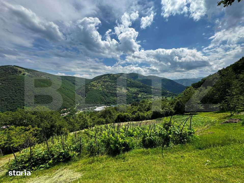 2 camere, casa de vanzare - Alba (judet), Capalna - 8575406 • www.storia.ro