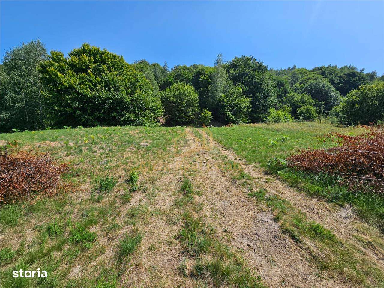 1 171 m², teren de vanzare - Cluj (judet), Salicea - 10053338 • www ...