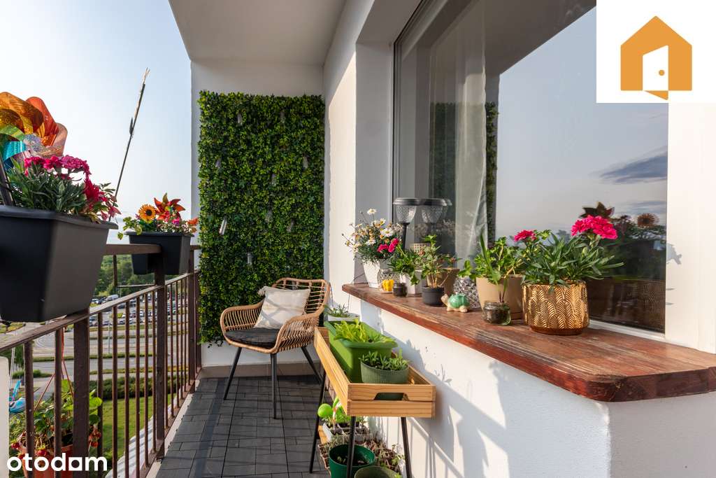 2 pokoje, mieszkanie na sprzedaż - Szczecin, zachodniopomorskie ...