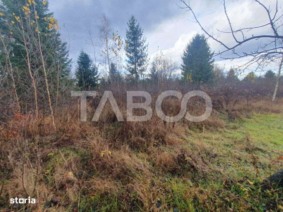 1 008 m², teren de vanzare - Brasov (judet), Statiunea Climaterica ...