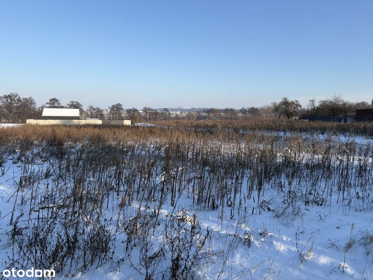 13 367 m², działka na sprzedaż - Kołdrąb, żniński, kujawsko-pomorskie ...