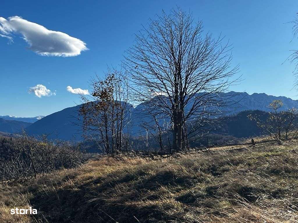 20 340 m², teren de vanzare - Brasov (judet), Strada Principala ...