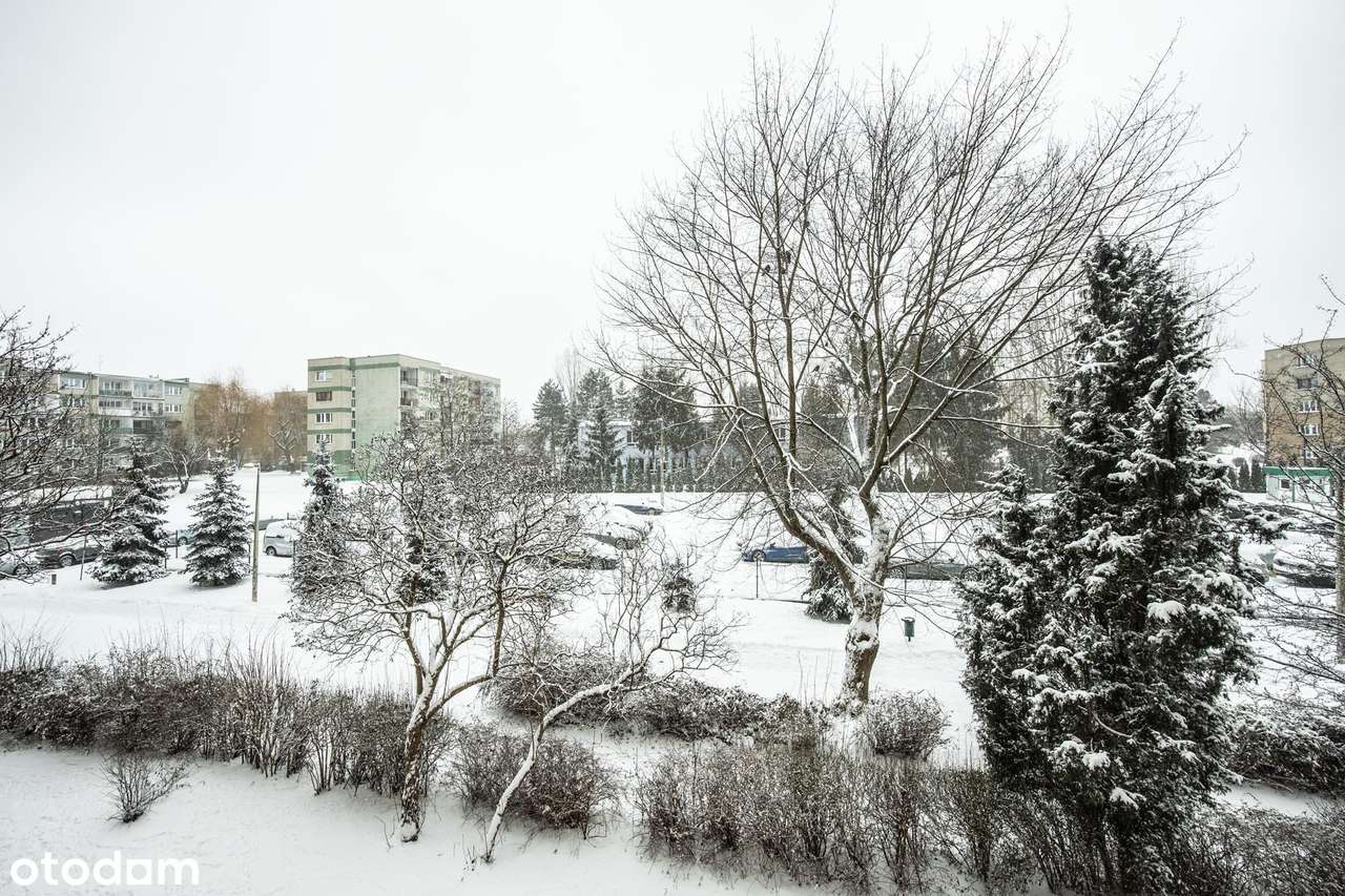 1 pokój, mieszkanie na wynajem - al. ks. kard. Stefana Wyszyńskiego ...