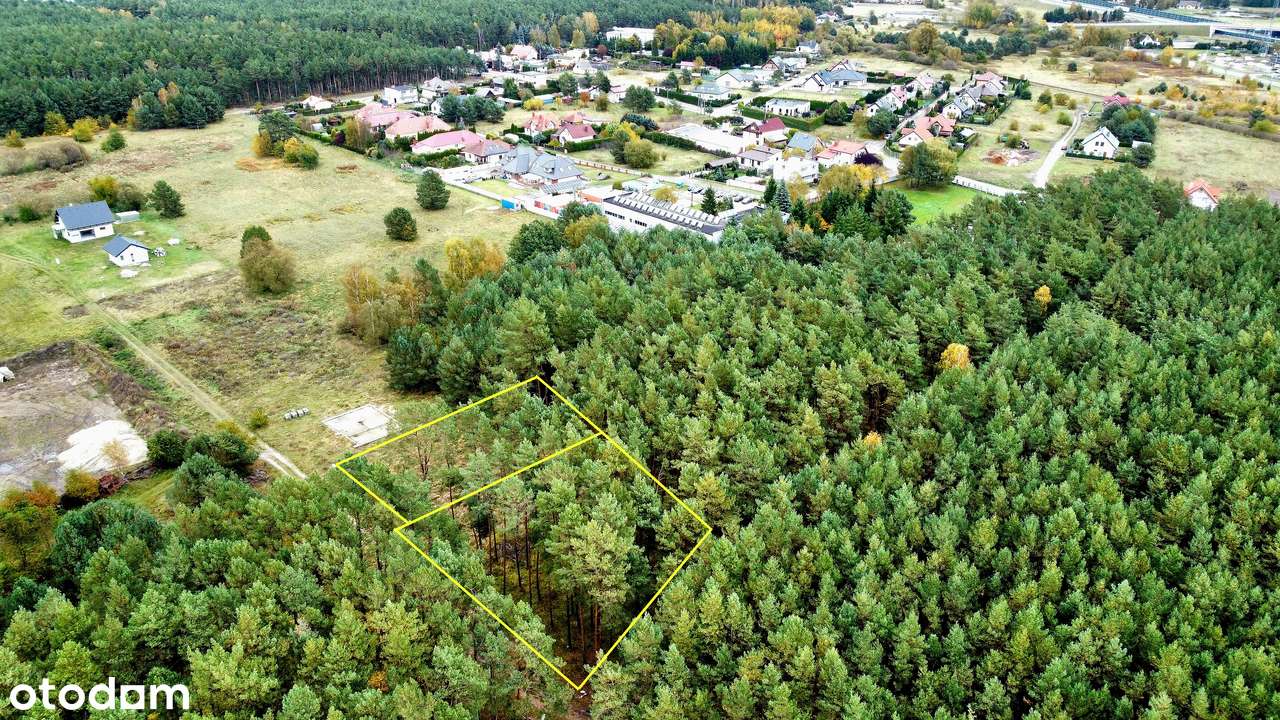 2 187 m², działka na sprzedaż - Zamość, nakielski, kujawsko-pomorskie ...