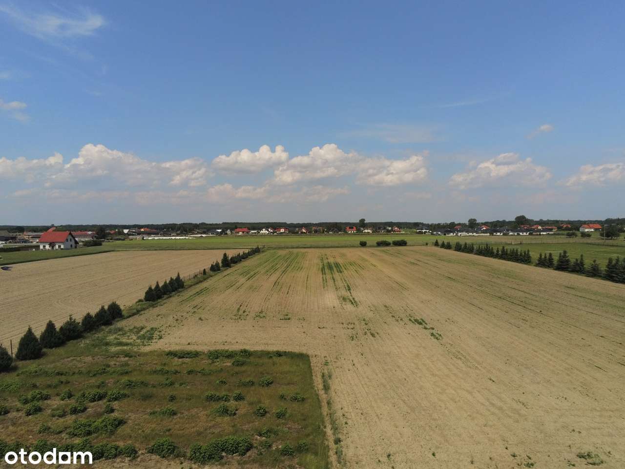 152 712 m², działka na sprzedaż - Masłowo, rawicki, wielkopolskie ...