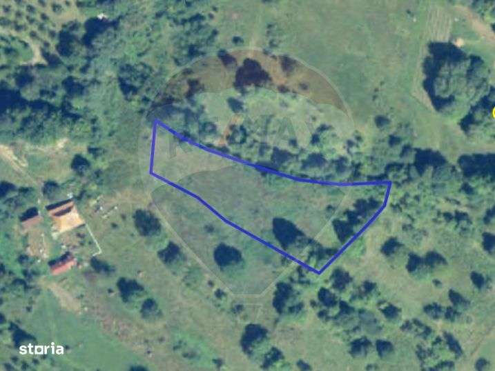 3 871 m², teren de vanzare - Hunedoara (judet), Sacaramb - 8992682 ...