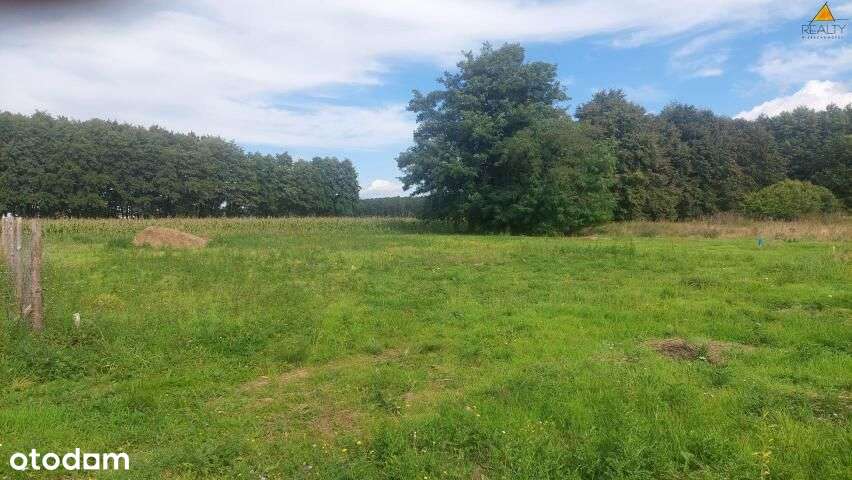 790 m², działka na sprzedaż - Henrykowo, leszczyński, wielkopolskie ...