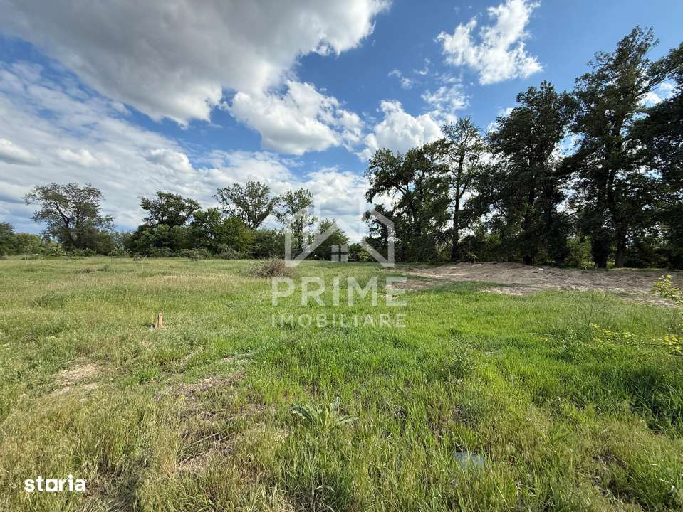 6 000 m², teren de vanzare - Alba (judet), Sebes - 9457686 • www.storia.ro