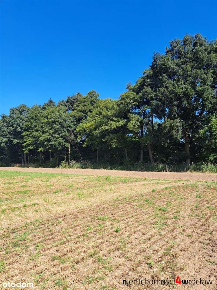 818 m², działka na sprzedaż - Wilczyce, wrocławski, dolnośląskie ...