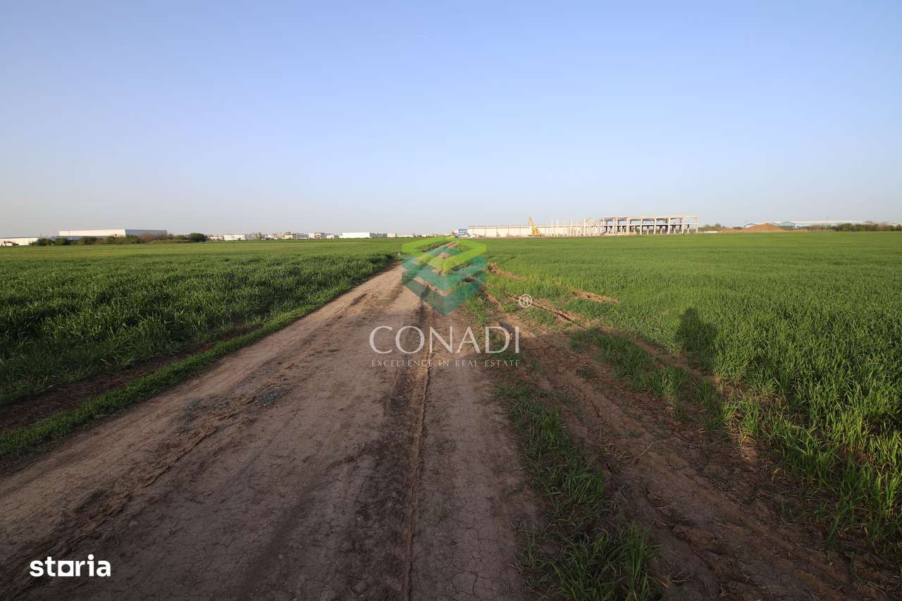 5 792 m², teren de vanzare - Ilfov (judet), Olteni - 10033683 • www ...
