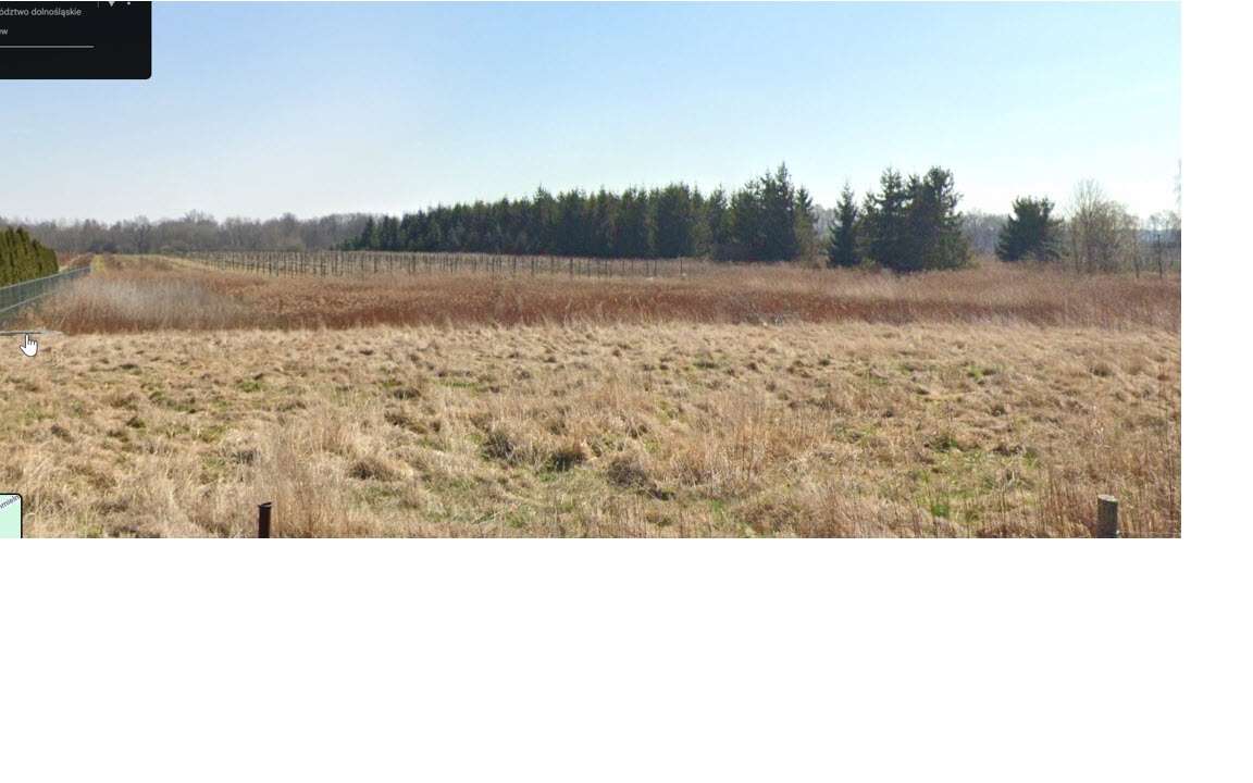 1 230 m², działka na sprzedaż - ul. Jagodowa, Bogdaszowice - 67598496 ...