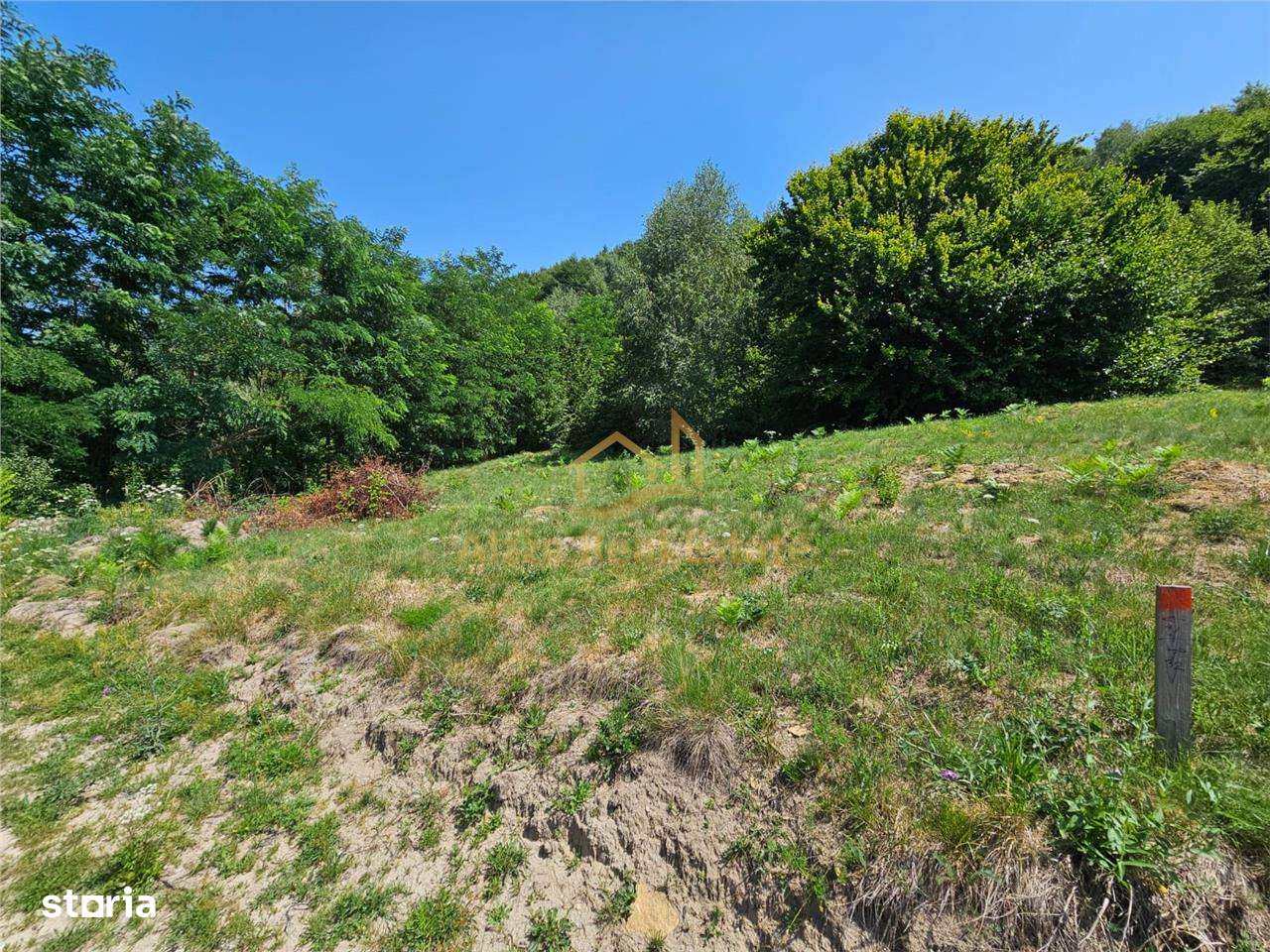 1 171 m², teren de vanzare - Cluj (judet), Salicea - 10053338 • www ...