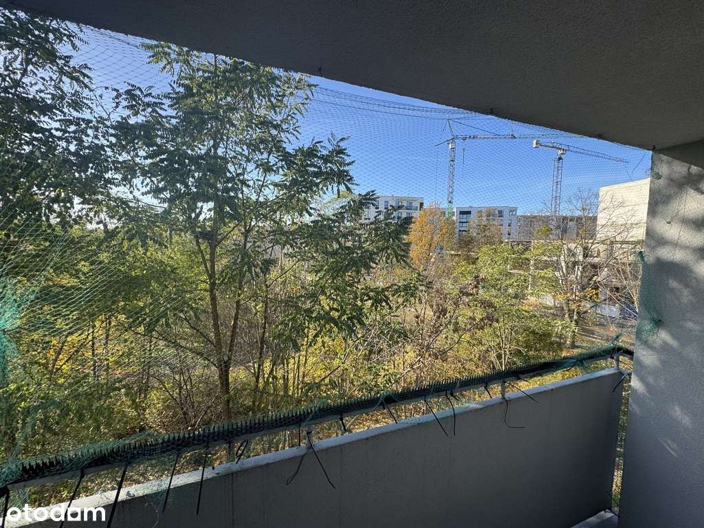 2 pokoje, mieszkanie na wynajem - Łódź, Polesie - 67567665 • www.otodom.pl