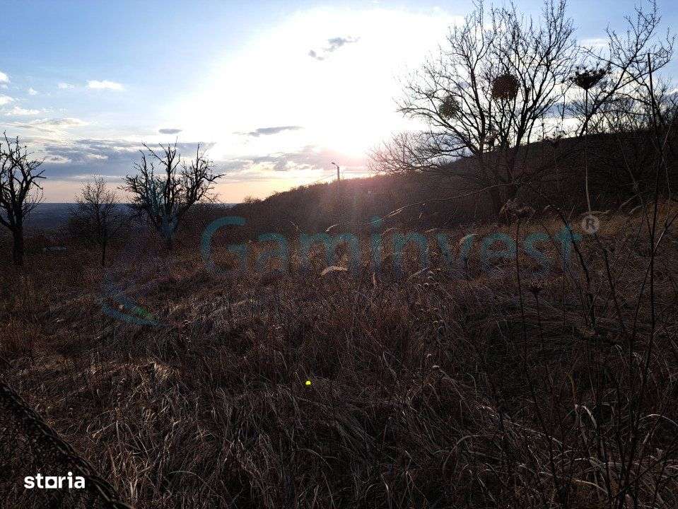 3 250 m², teren de vanzare - Bihor (judet), Podgoria - 8437013 • www ...