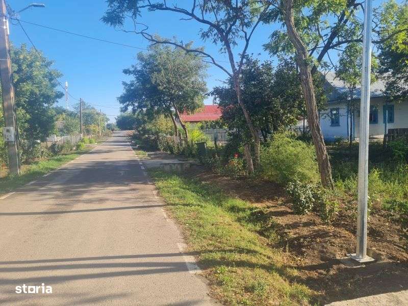 1 500 m², teren de vanzare - Tulcea (judet), Pardina - 9800028 • www ...