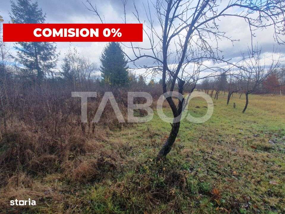 1 008 m², teren de vanzare - Brasov (judet), Statiunea Climaterica ...