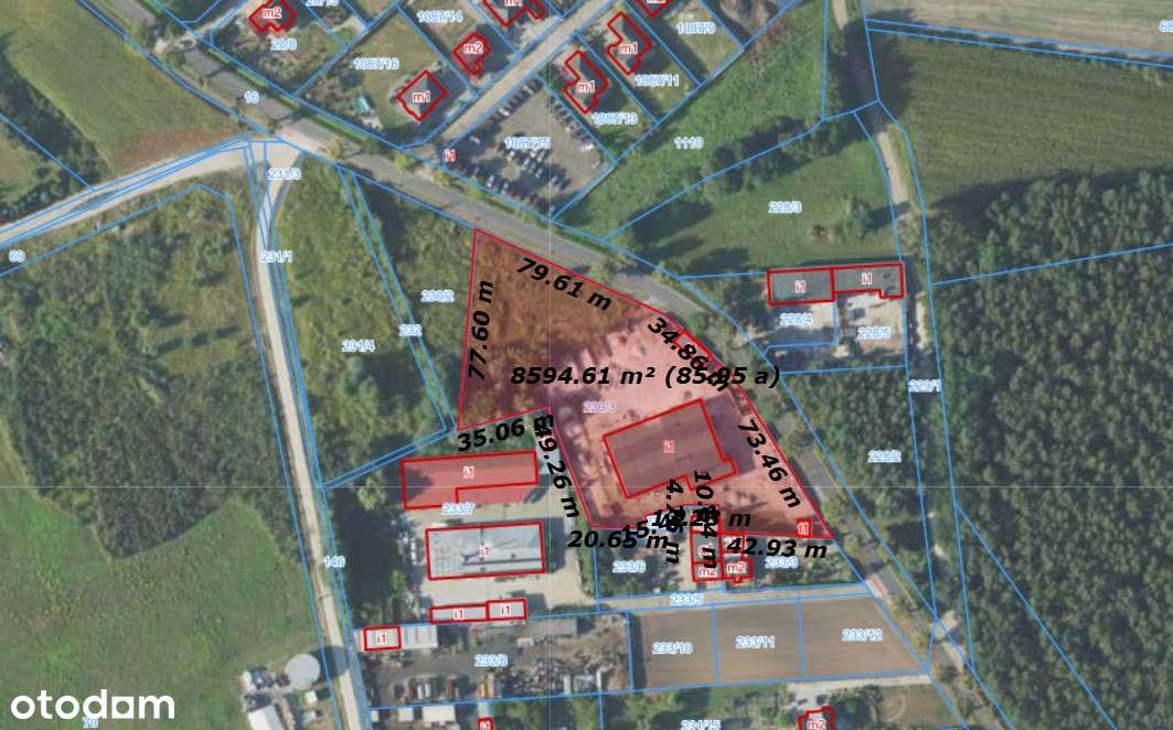 8 555 m², hala/magazyn na wynajem - Dębno Polskie, rawicki ...