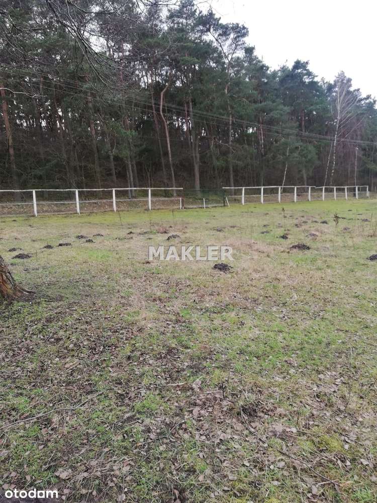 1 000 m², działka na sprzedaż - Nowa Wieś Wielka, bydgoski, kujawsko ...
