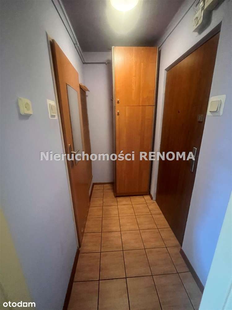 2 pokoje, mieszkanie na wynajem - ul. Śląska, Jastrzębie-Zdrój ...