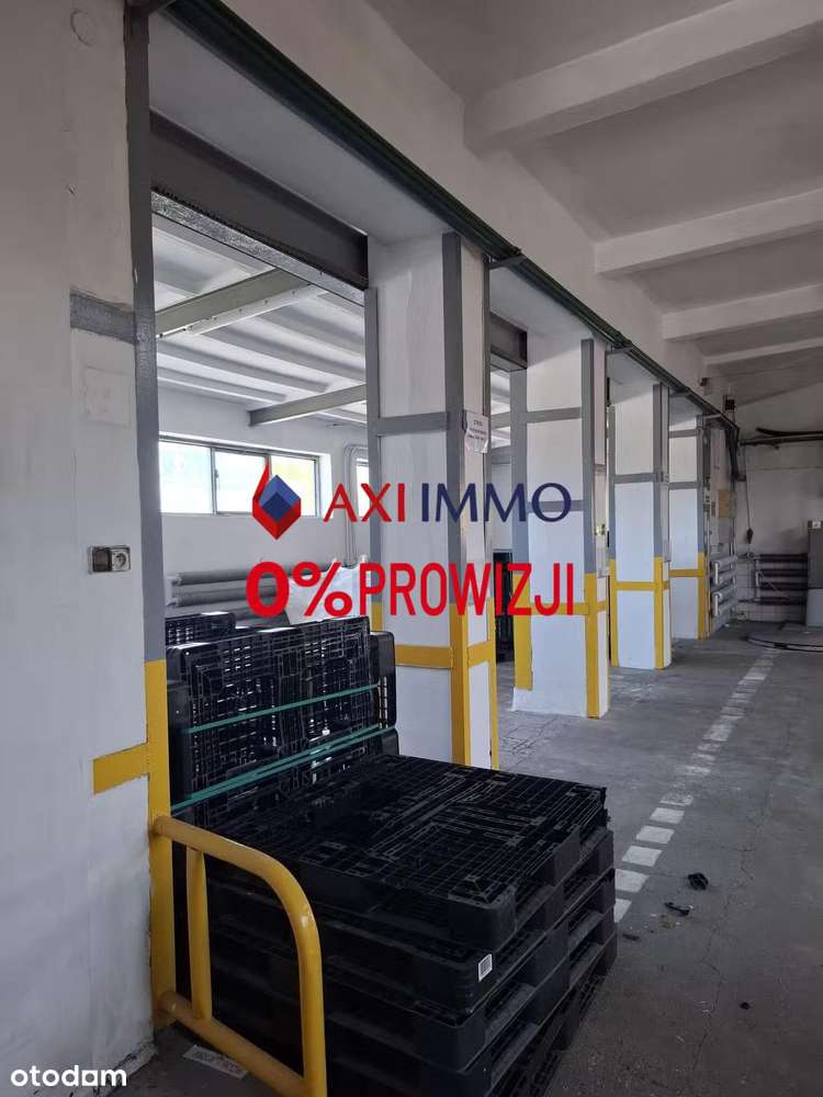 24 000 m², hala/magazyn na sprzedaż - Racibórz, raciborski, śląskie ...