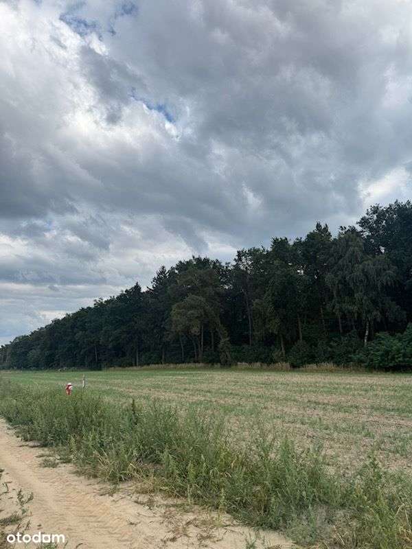 836 m², działka na sprzedaż - Śliwniki, ostrowski, wielkopolskie ...