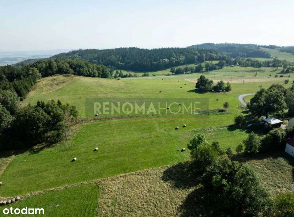 350 m², działka na sprzedaż - Pastewnik, kamiennogórski, dolnośląskie ...