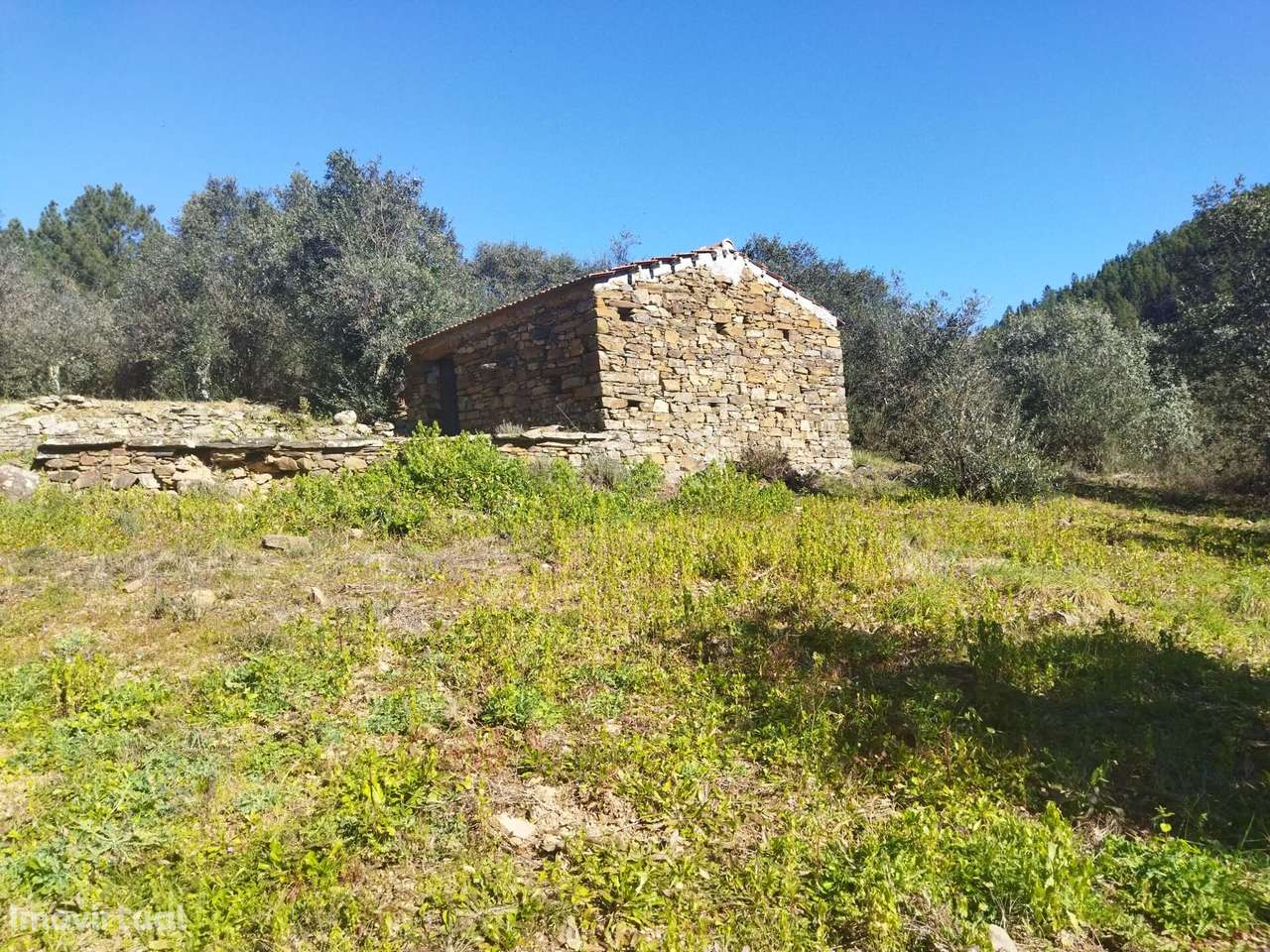 Quintinha em Sesmo, Junto á praia fluvial, Sarzedas | Imovirtual