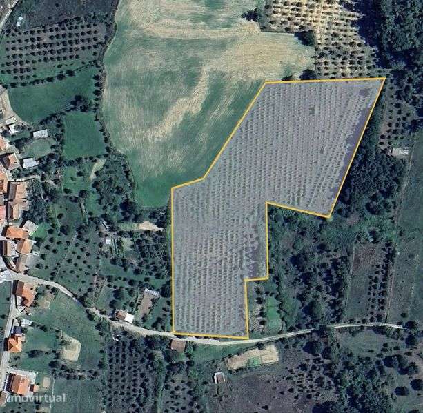 20 000 m², terreno para comprar - Real, Penalva do Castelo, Viseu ...