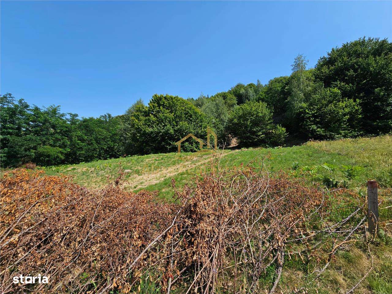 1 171 m², teren de vanzare - Cluj (judet), Salicea - 10053338 • www ...