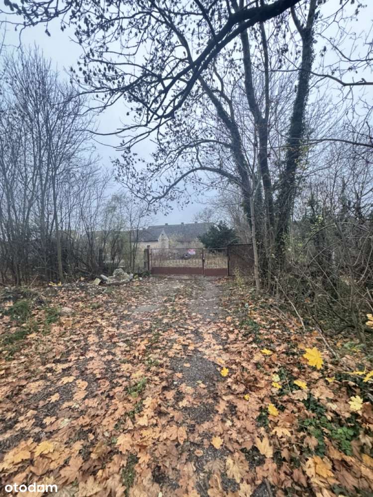 3 262 m², działka na sprzedaż - ul. Wojska Polskiego, Gogolin ...